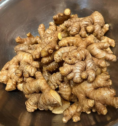 About Hey Ginger! – Hey Ginger!